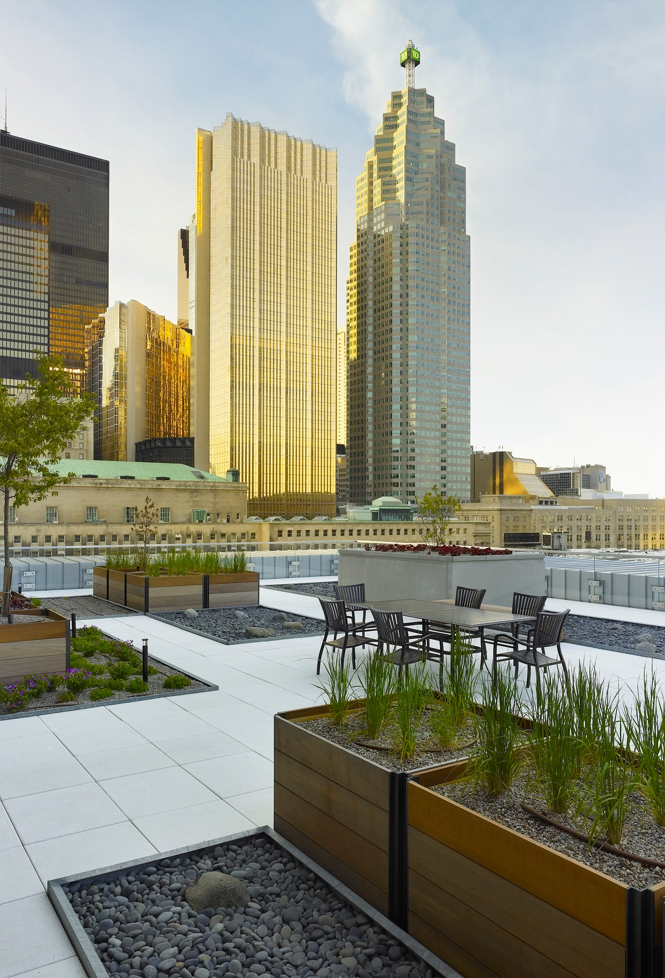 25 York Street - Adamson and AAI