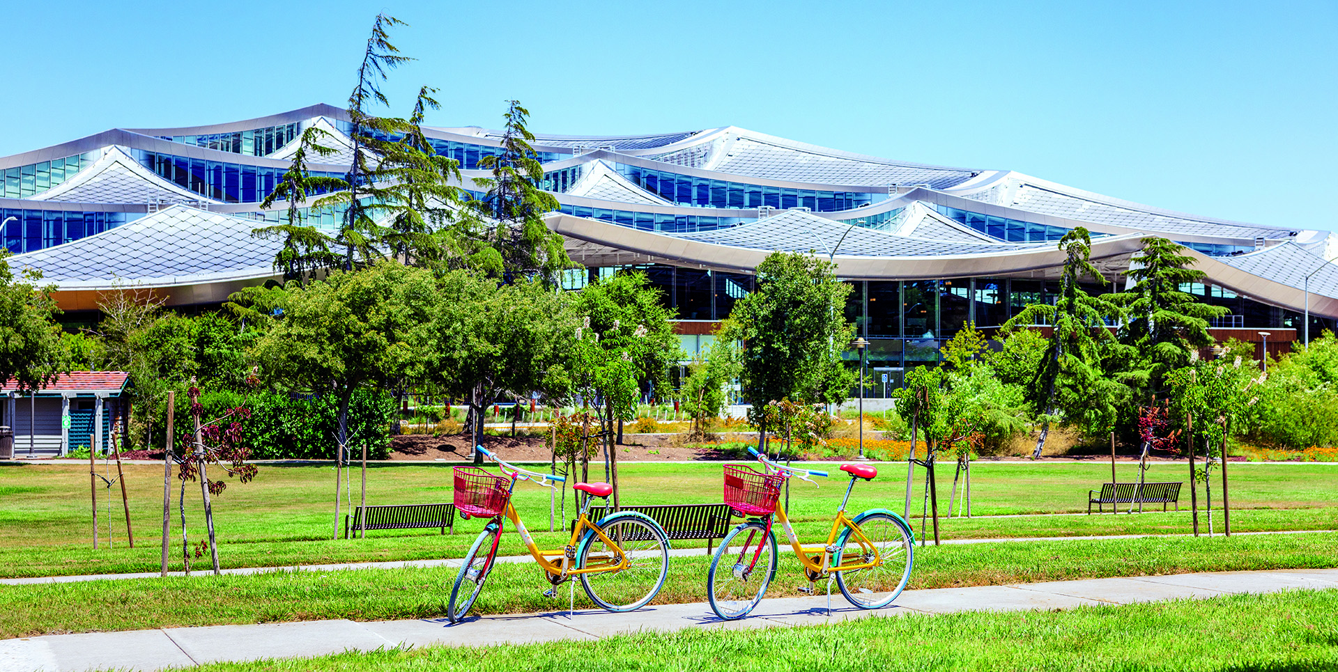 Google | Gradient Canopy - Adamson and AAI